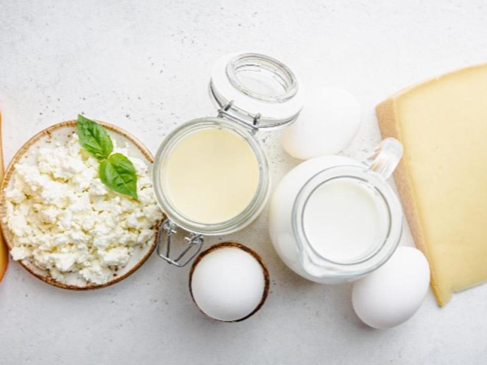 Health and nutrition benefits of lactose | Tirlán Ingredients